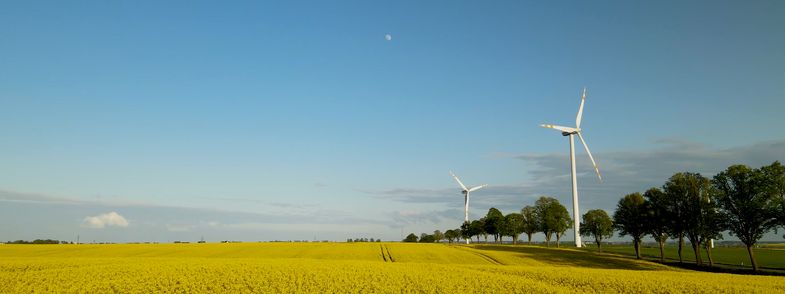 NKT joins forces with other power sector companies to transition to net ...